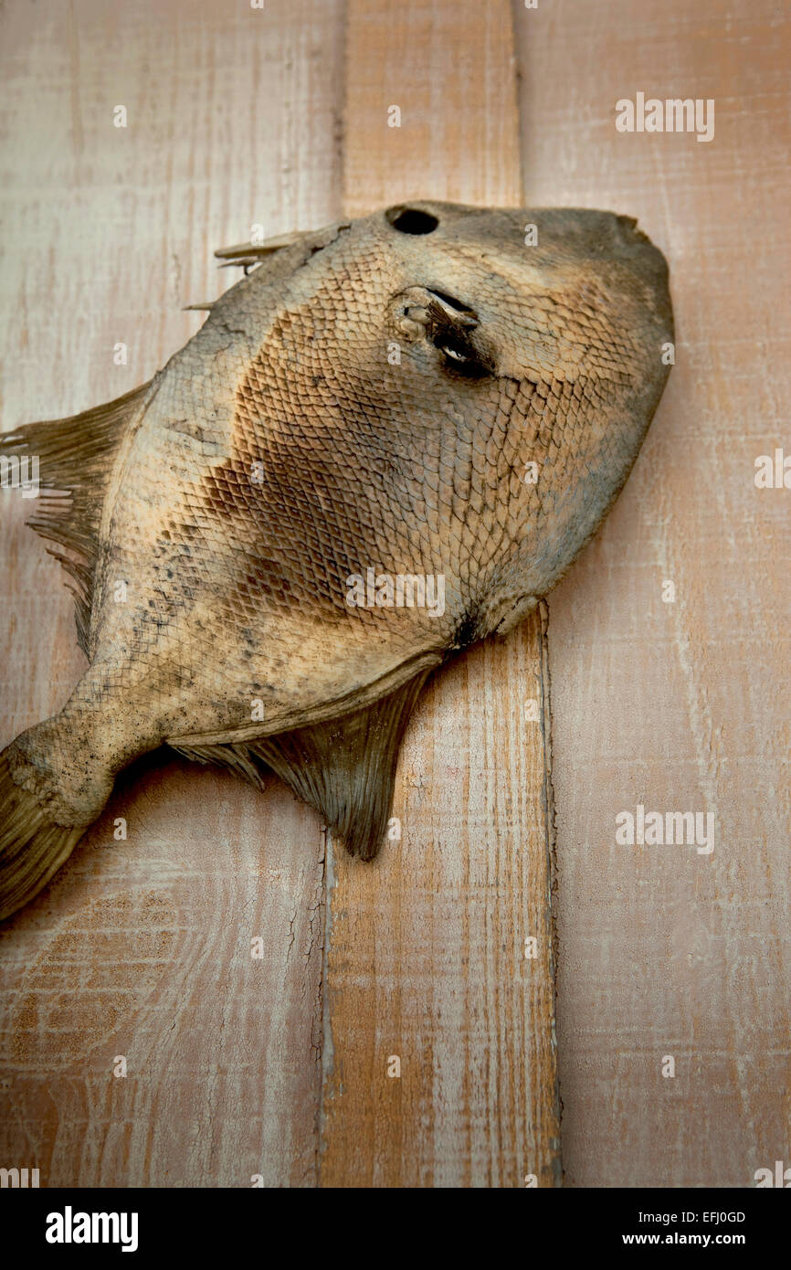 Dried fish on wall hi-res stock photography and images - Alamy