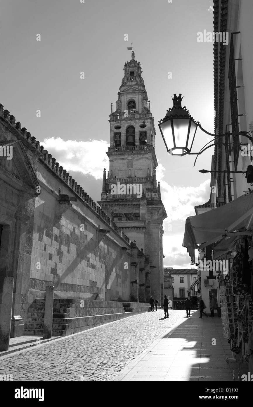 Cathedral bell tower la Black and White Stock Photos & Images - Alamy