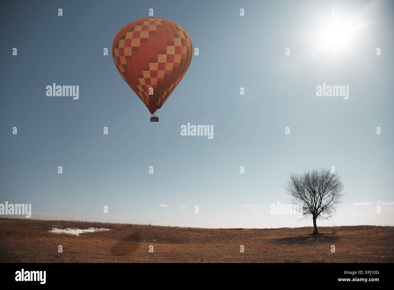 Air balloon flying over the steppe with single tree Stock Photo - Alamy