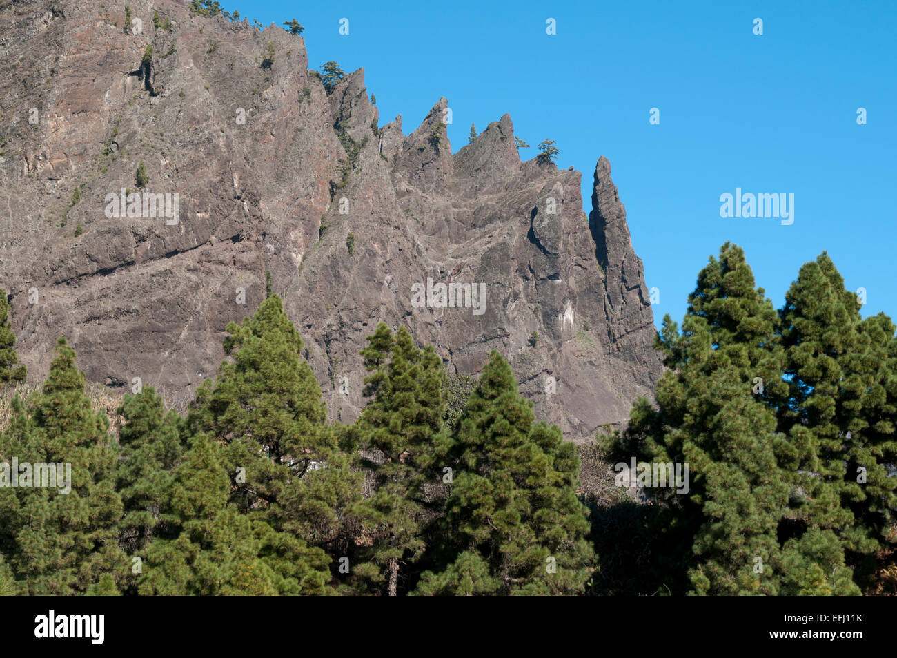 Caldera de Taburiente is a crater shaped mountain arch with nine ...