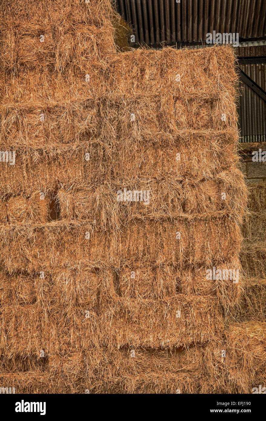 haystacks for farming Stock Photo - Alamy