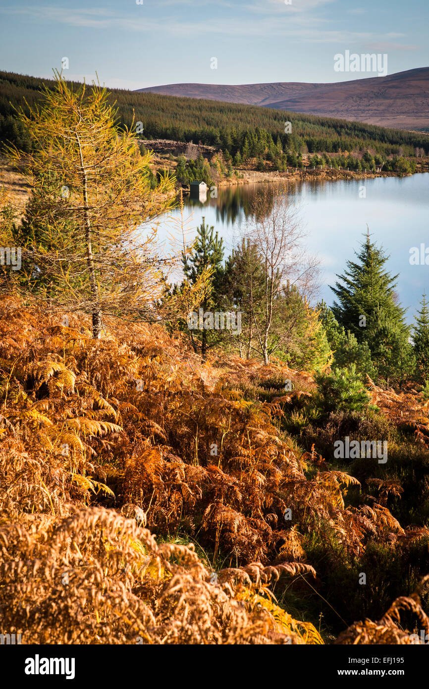 Loch Bad á Bhathaich, Kildermorie Estate near Alness, Scotland Stock ...