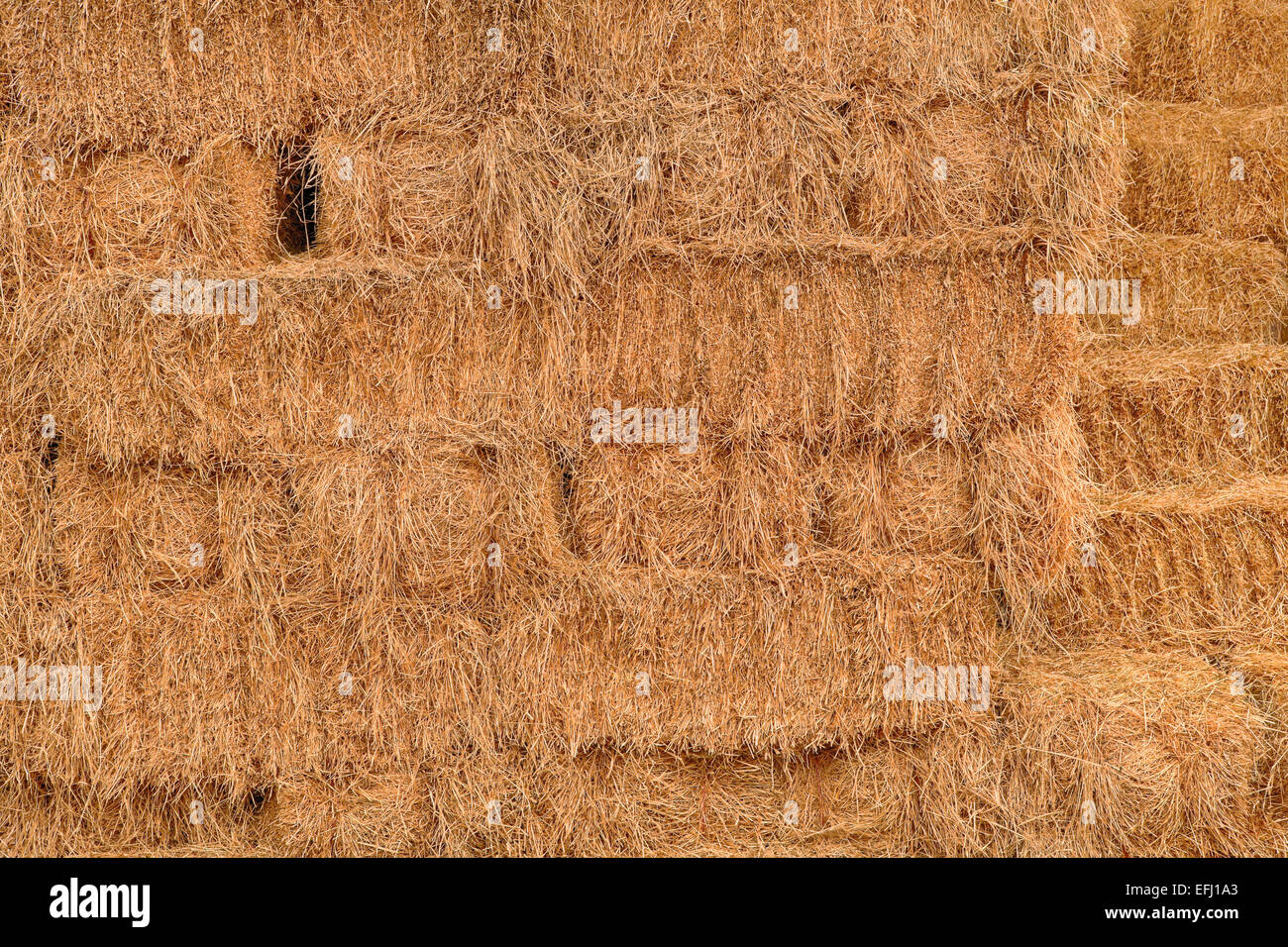 haystacks for farming Stock Photo - Alamy