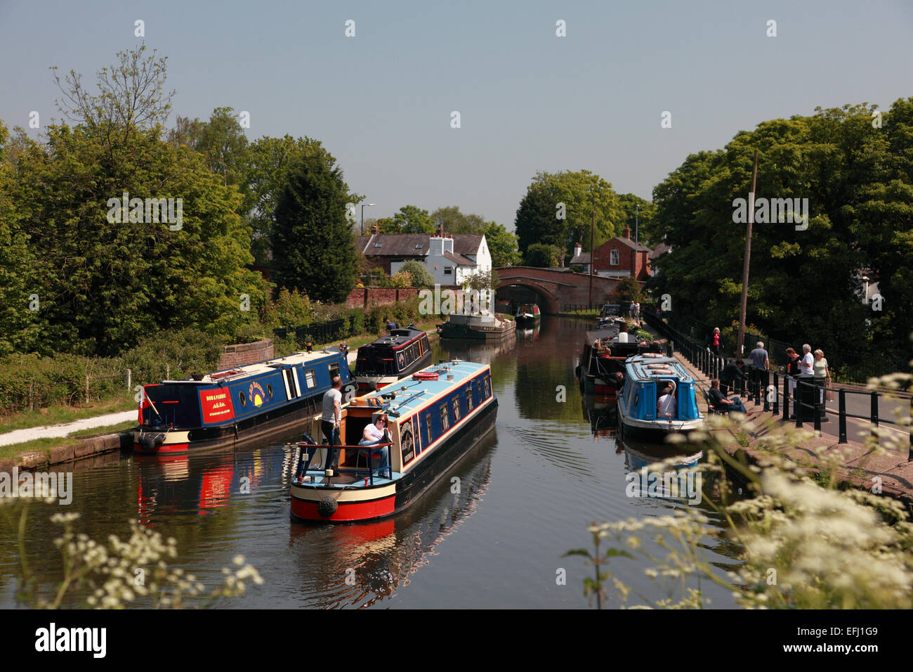 Narrowboats on the Bridgewater Canal looking towards Lymm Bridge at ...
