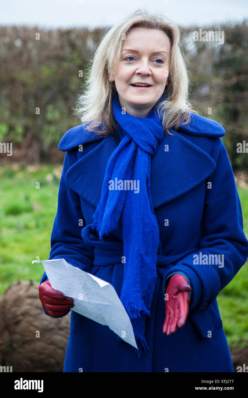 Liz truss environment hi-res stock photography and images - Alamy