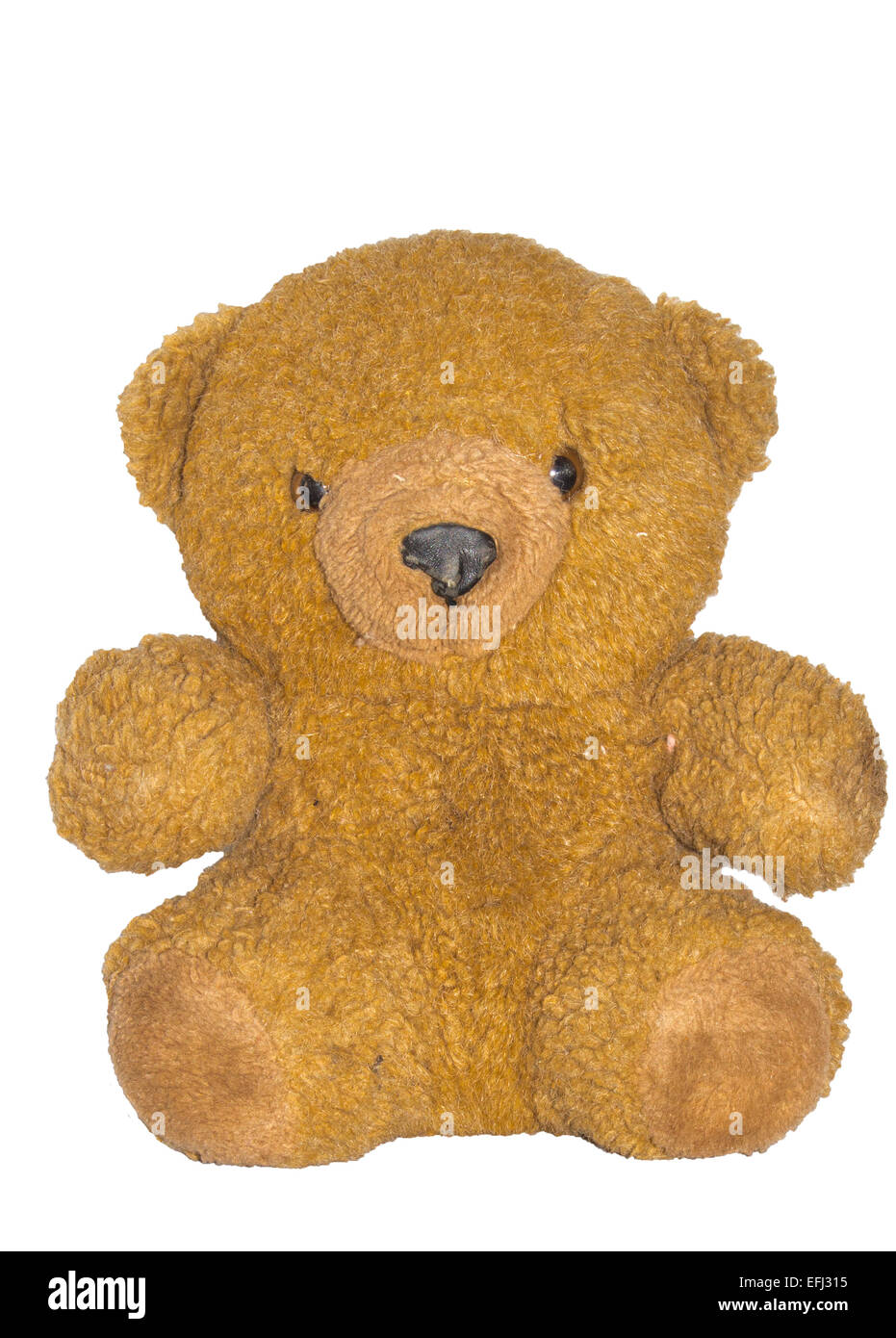 Teddy Bear Cut Out