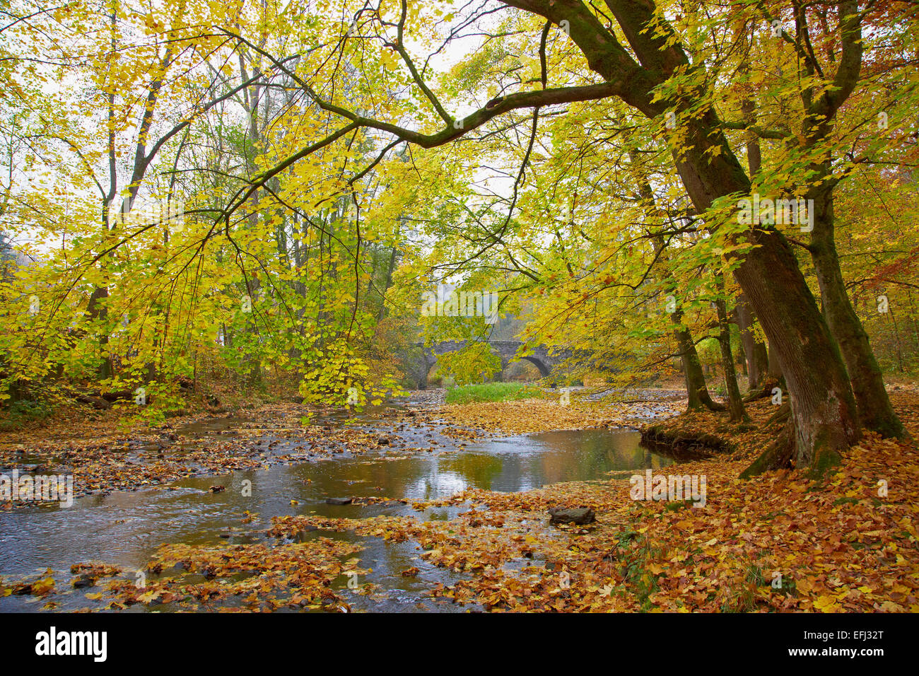 Nister hi-res stock photography and images - Alamy