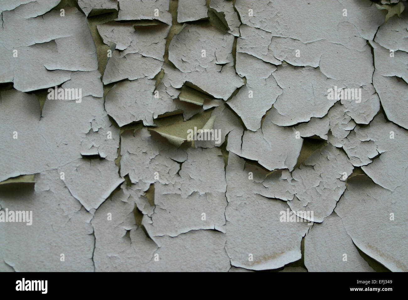 Full screen high resolution shot of old wall. Good for a texture or a ...