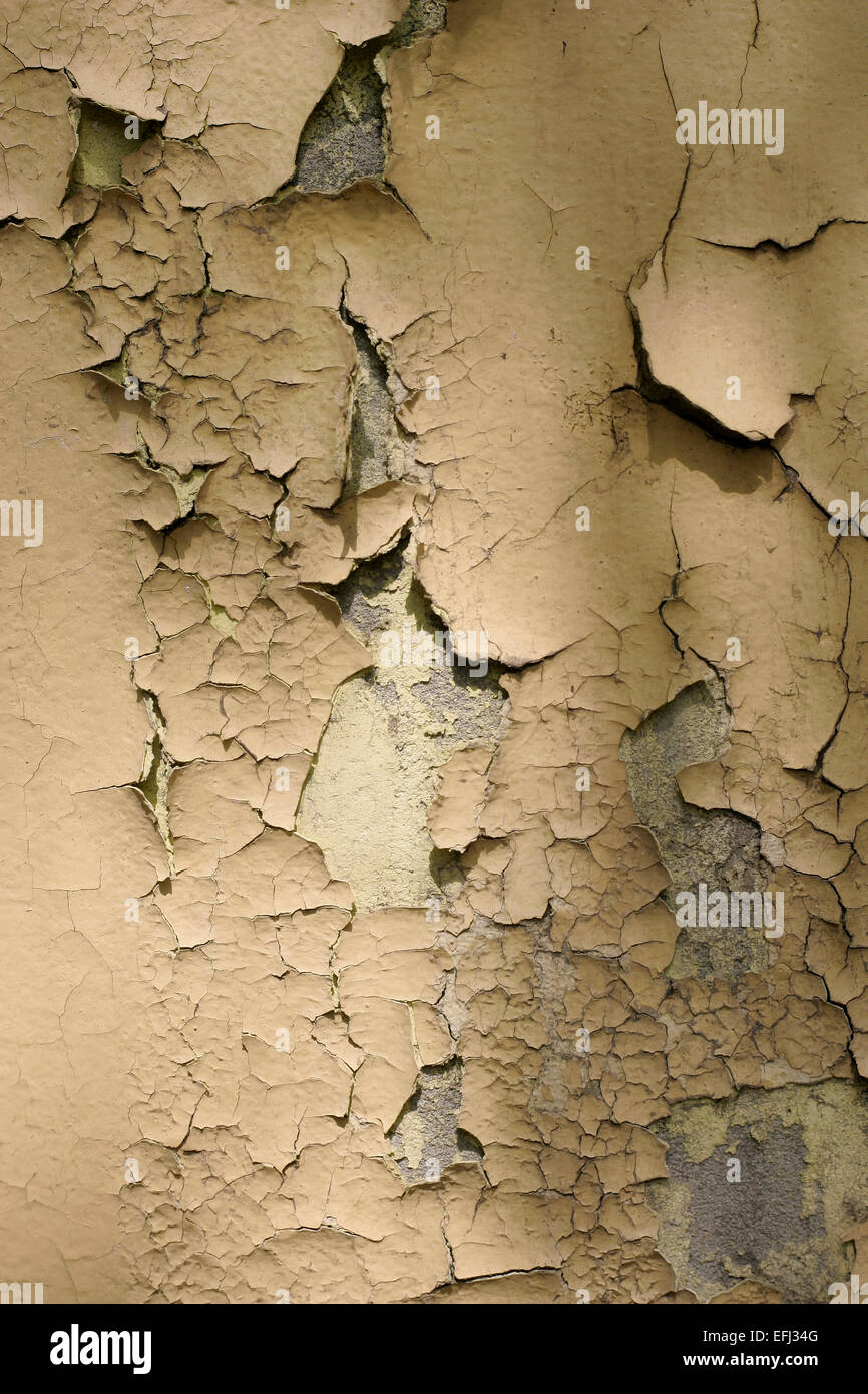 Full screen high resolution shot of old wall. Good for a texture or a ...