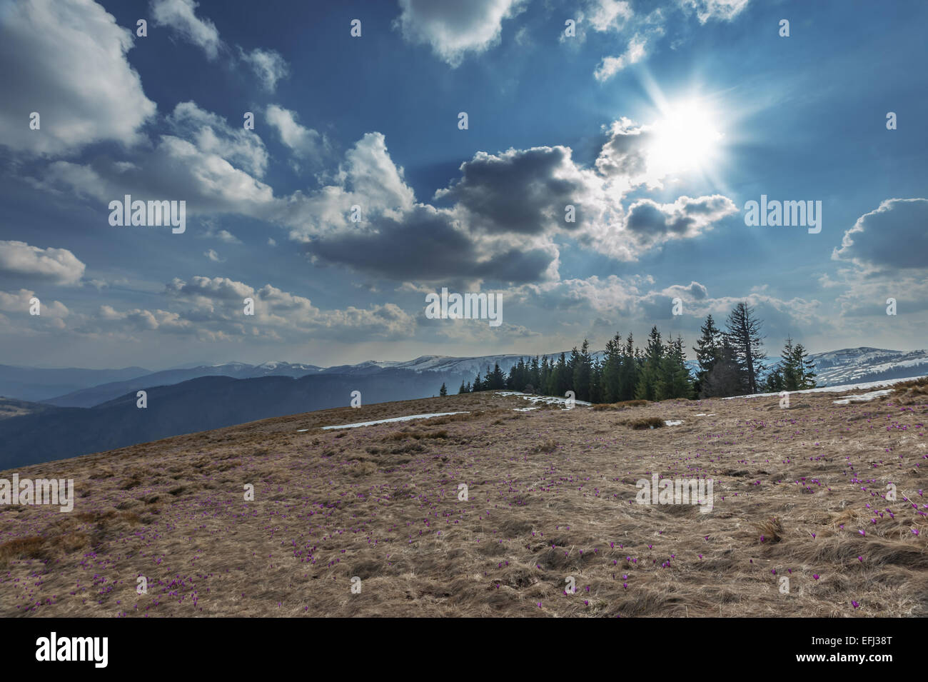 High mountain in spring time Stock Photo - Alamy