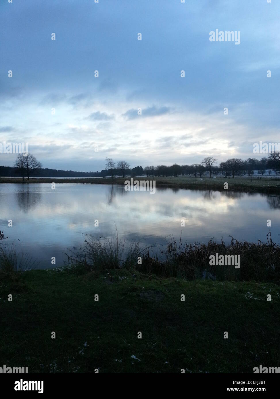 Tatton park lake hi-res stock photography and images - Alamy