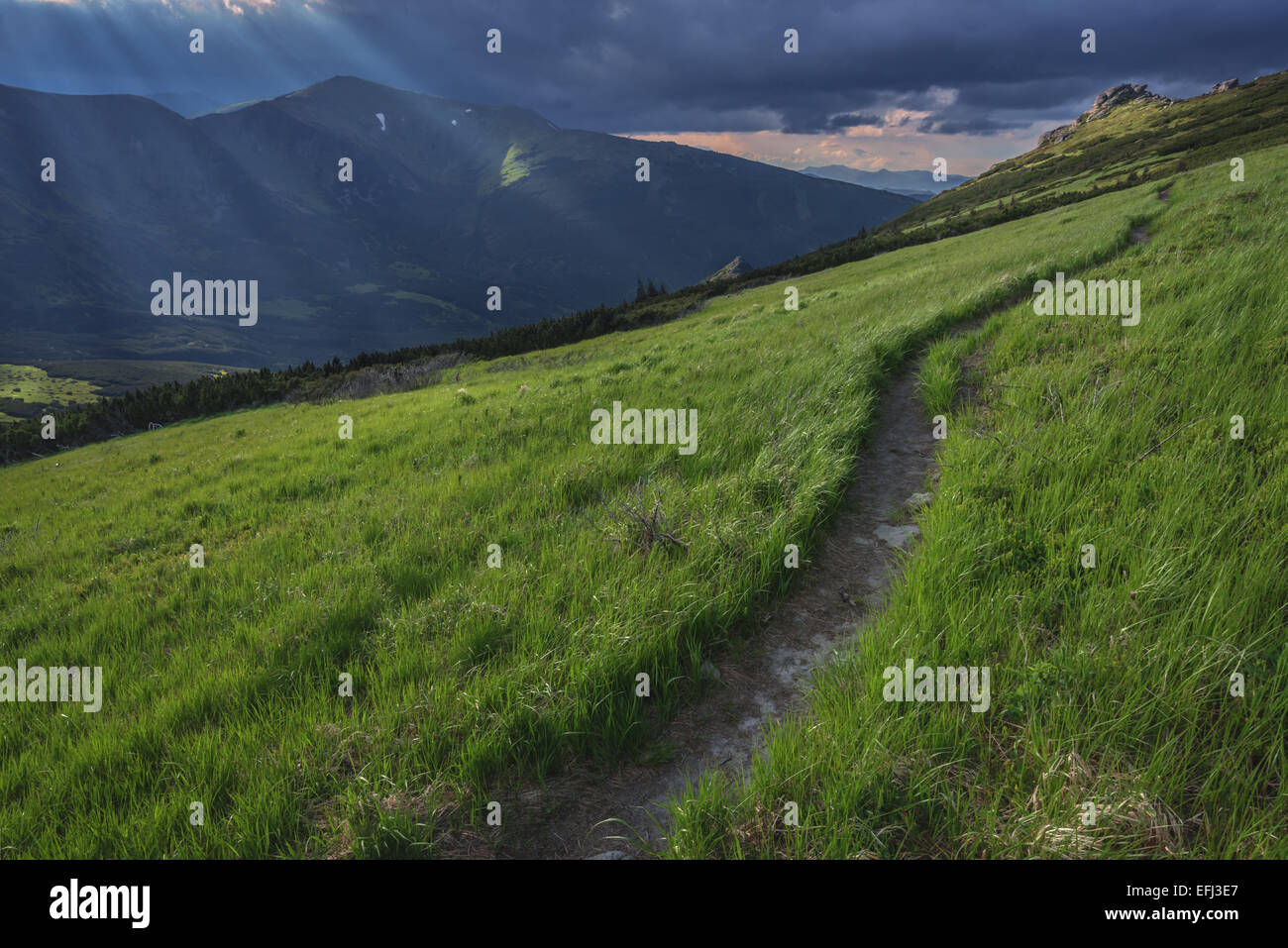 Mountain top path hi-res stock photography and images - Alamy