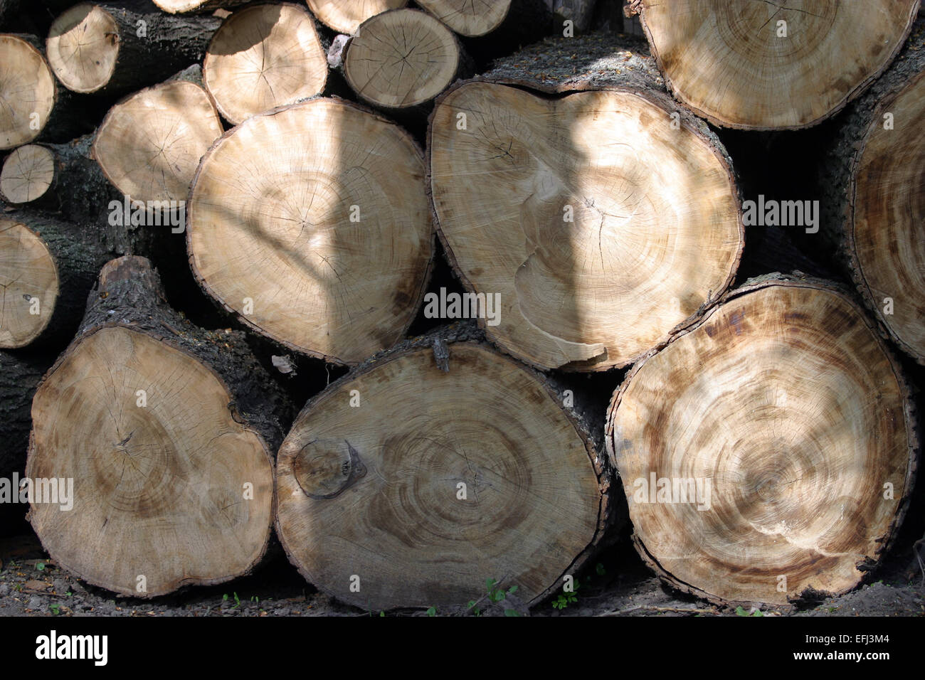 Full screen high resolution shot of old wood. Good for a texture or a ...