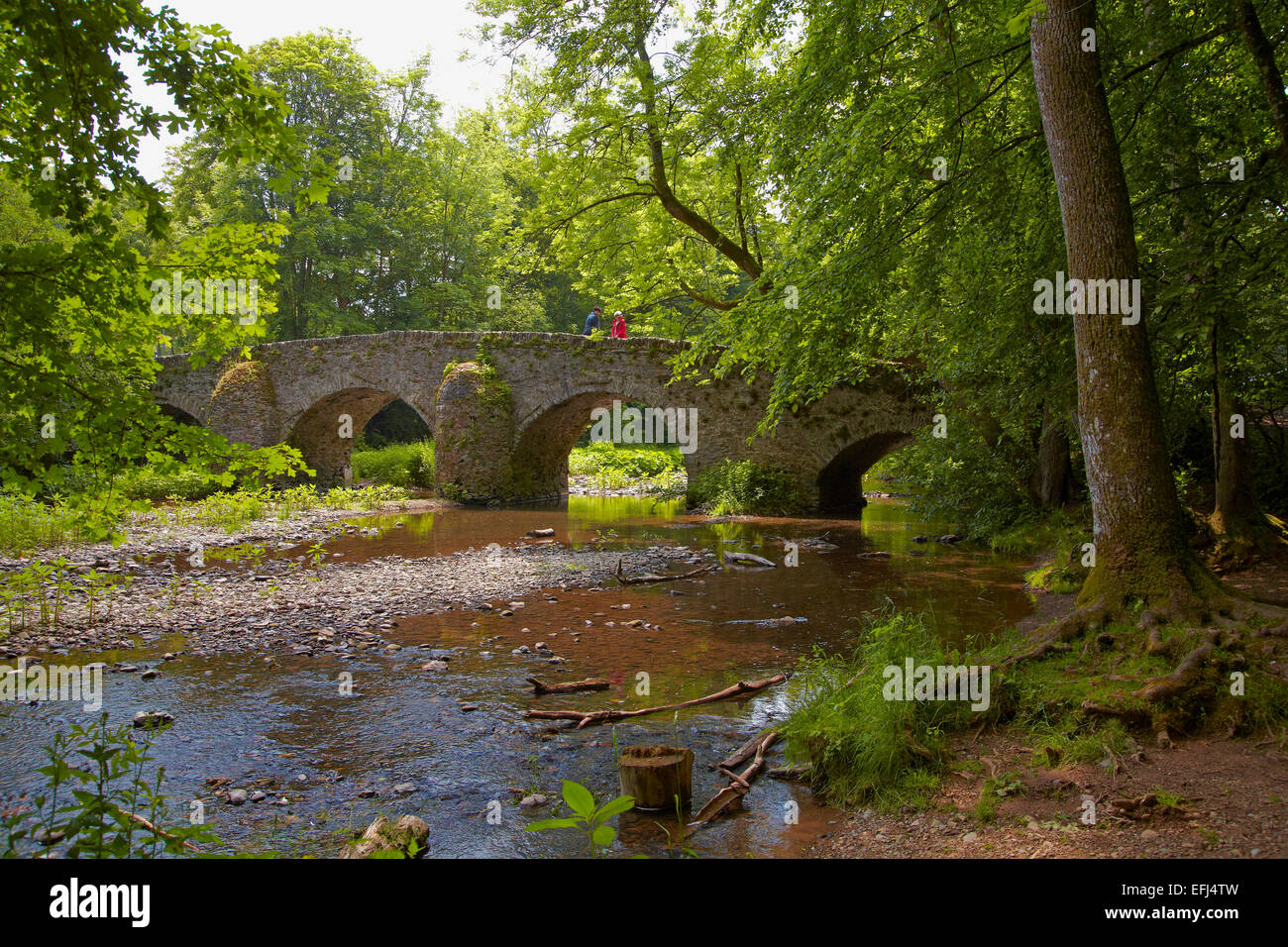 View of the old stone bridge across the river Grosse Nister, Nistertal ...