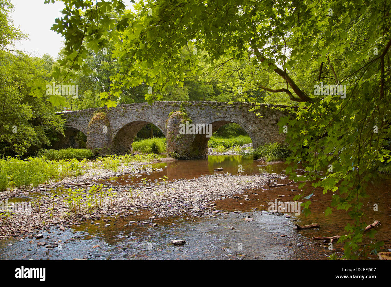 Nistertal bridge hi-res stock photography and images - Alamy