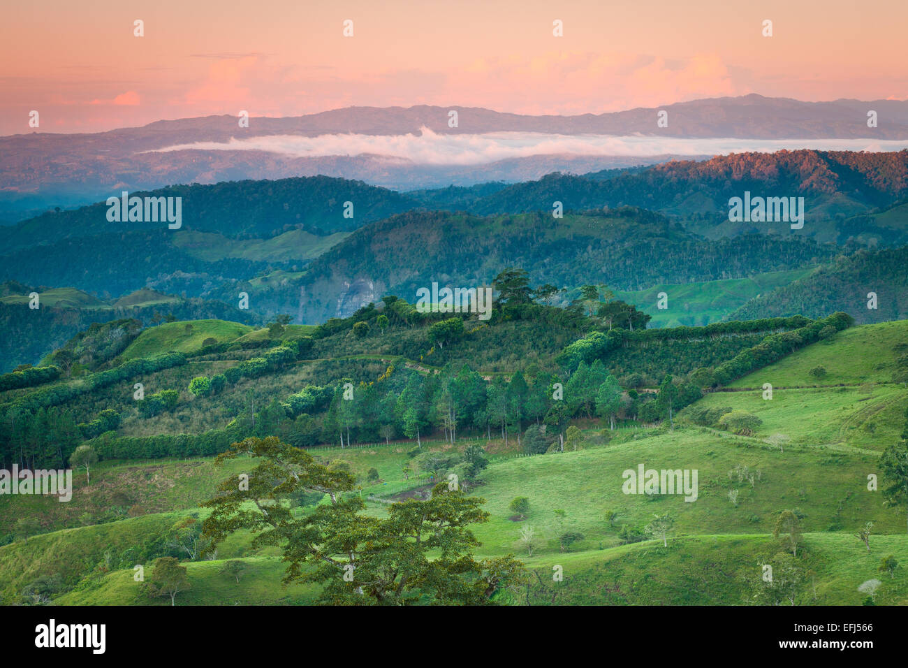 Panama landscape with forested hills and farmlands at dawn between ...