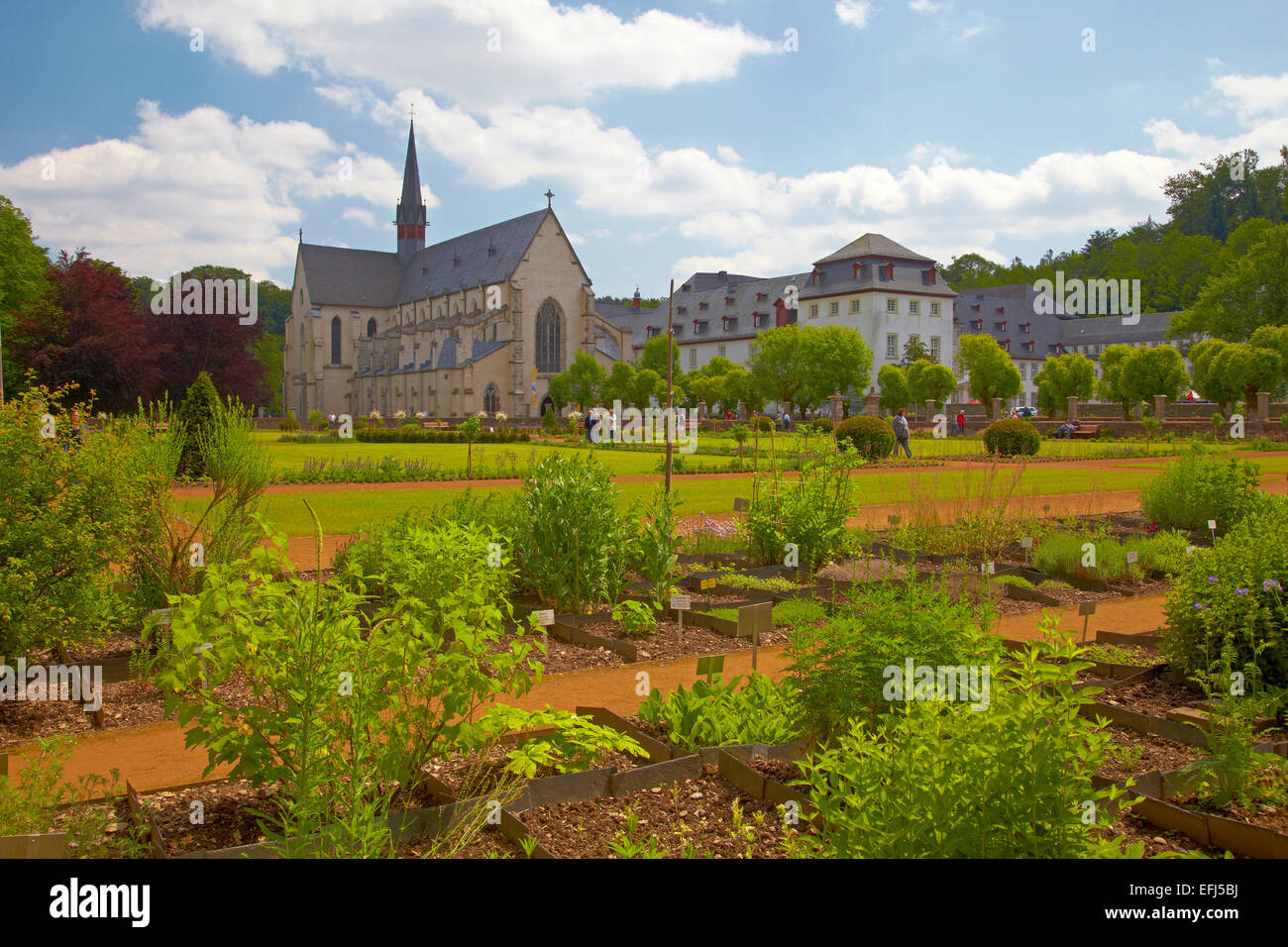 Church of marienstatt abbey hi-res stock photography and images - Alamy