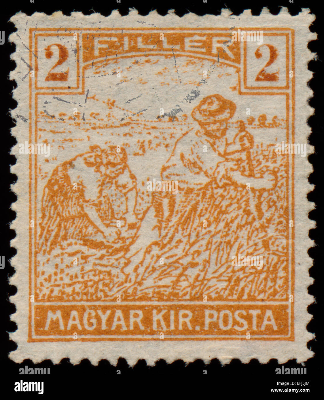HUNGARY - CIRCA 1916: A stamp printed in Hungary shows Harvesting Wheat ...
