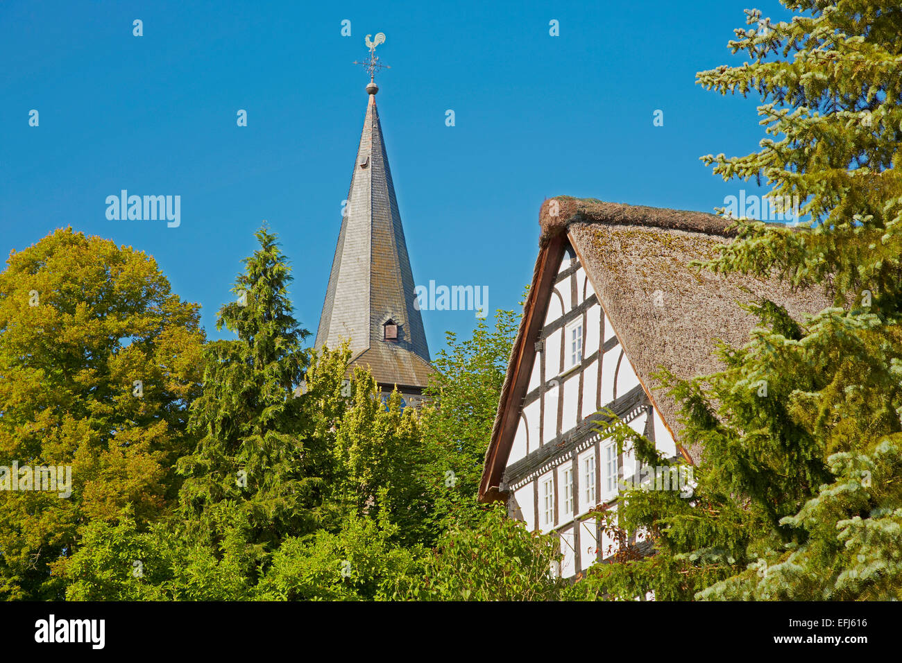 Mehren hi-res stock photography and images - Alamy