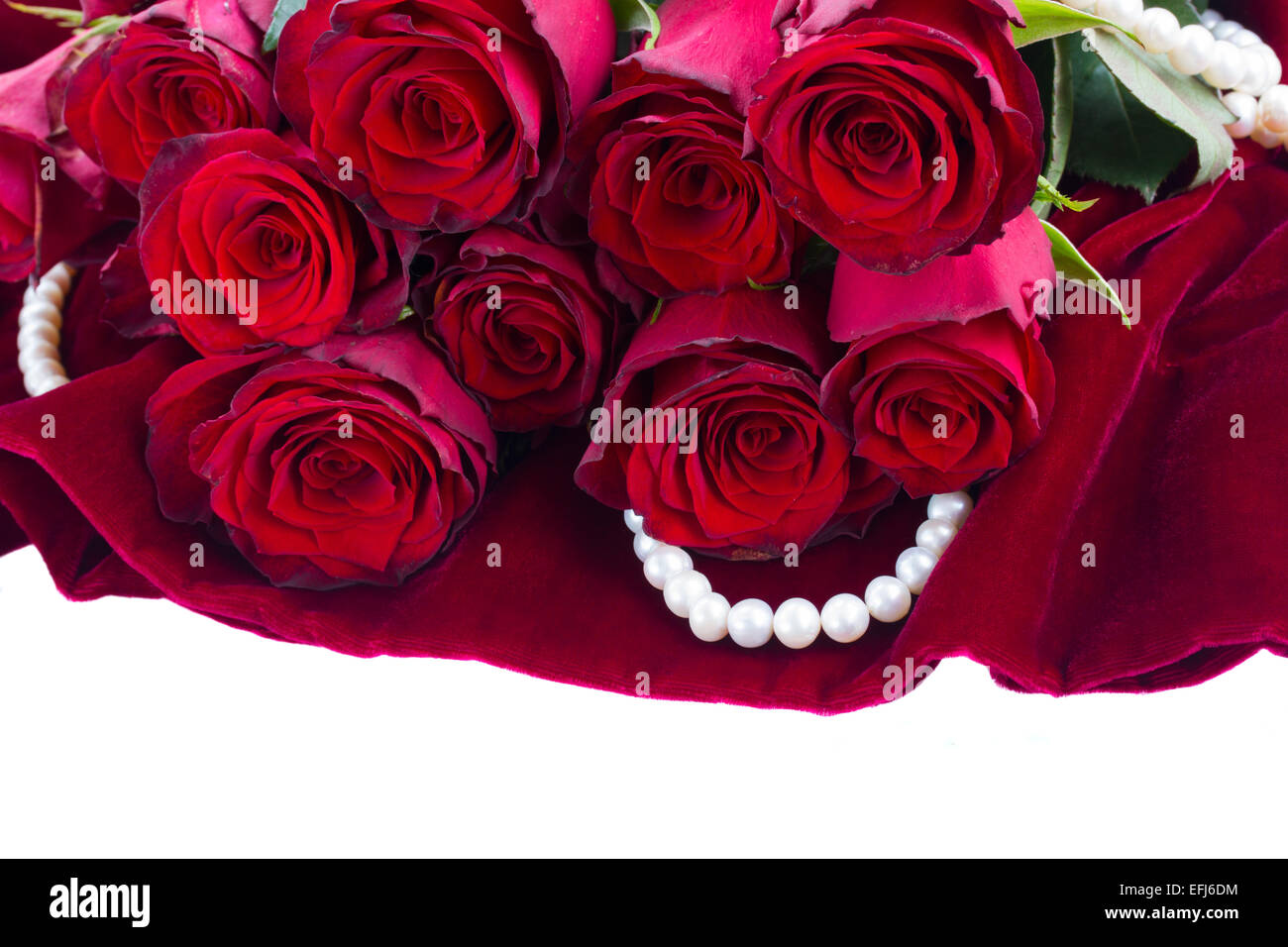 red roses on velvet Stock Photo - Alamy