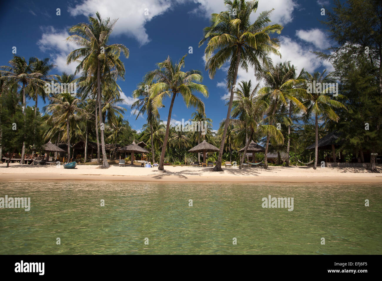 Beach with coconut trees, Phu Quoc, Vietnam Stock Photo - Alamy