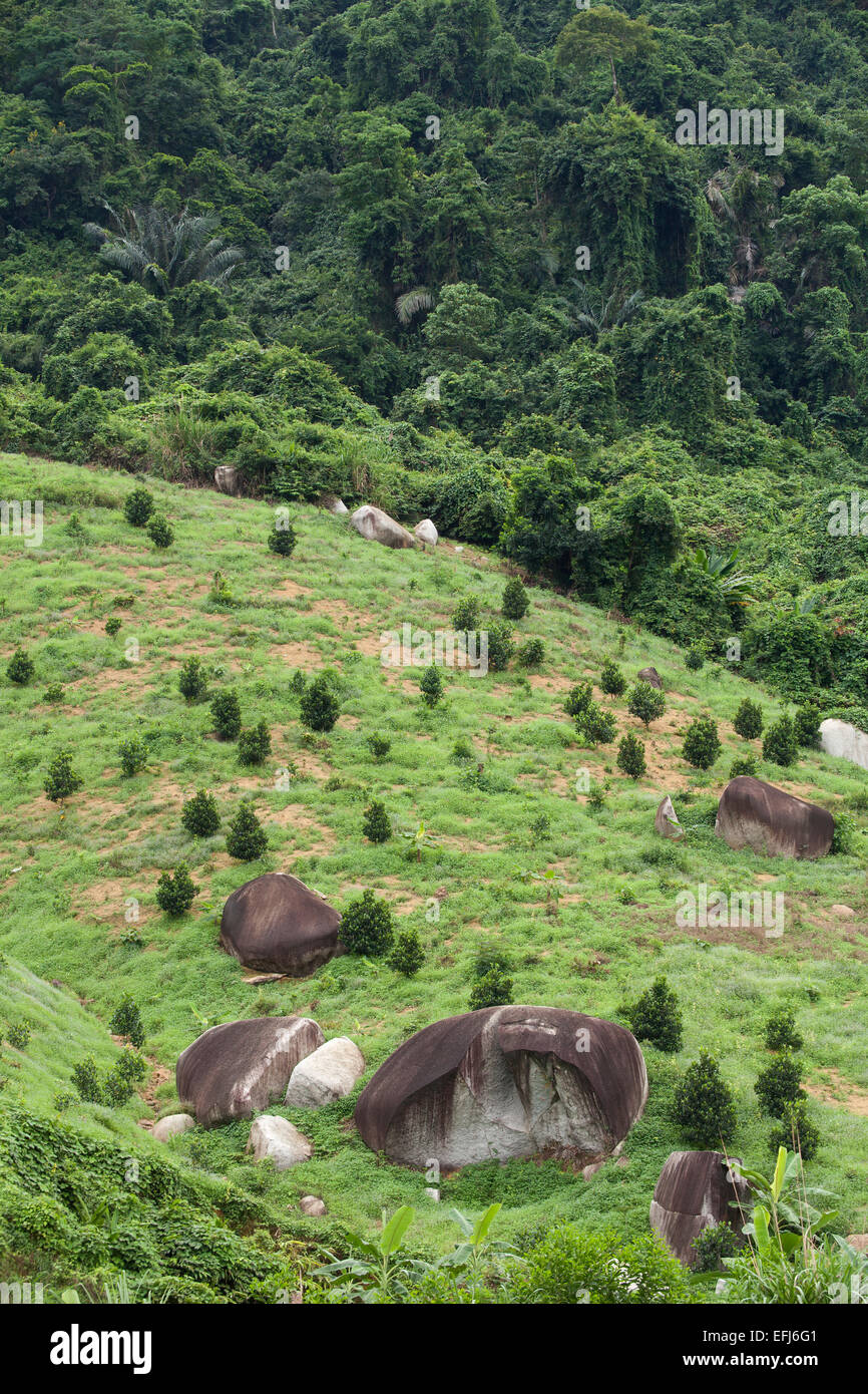 Fertile countryside with rock formations, near Nha Trang, Vietnam Stock ...