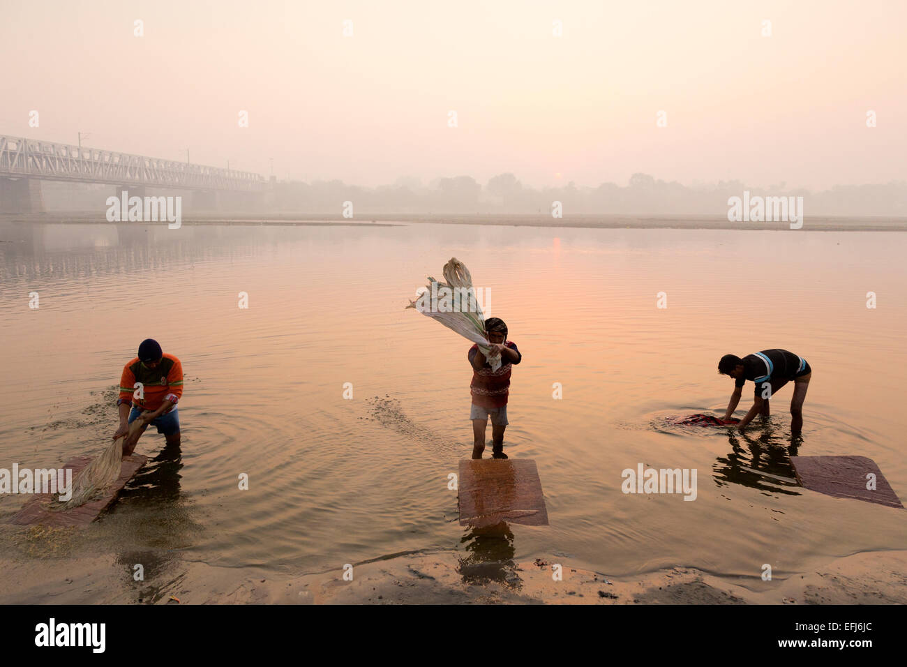India, Uttar Pradesh, Agra, Dhobi-wallahs at sunrise on Yamuna River ...