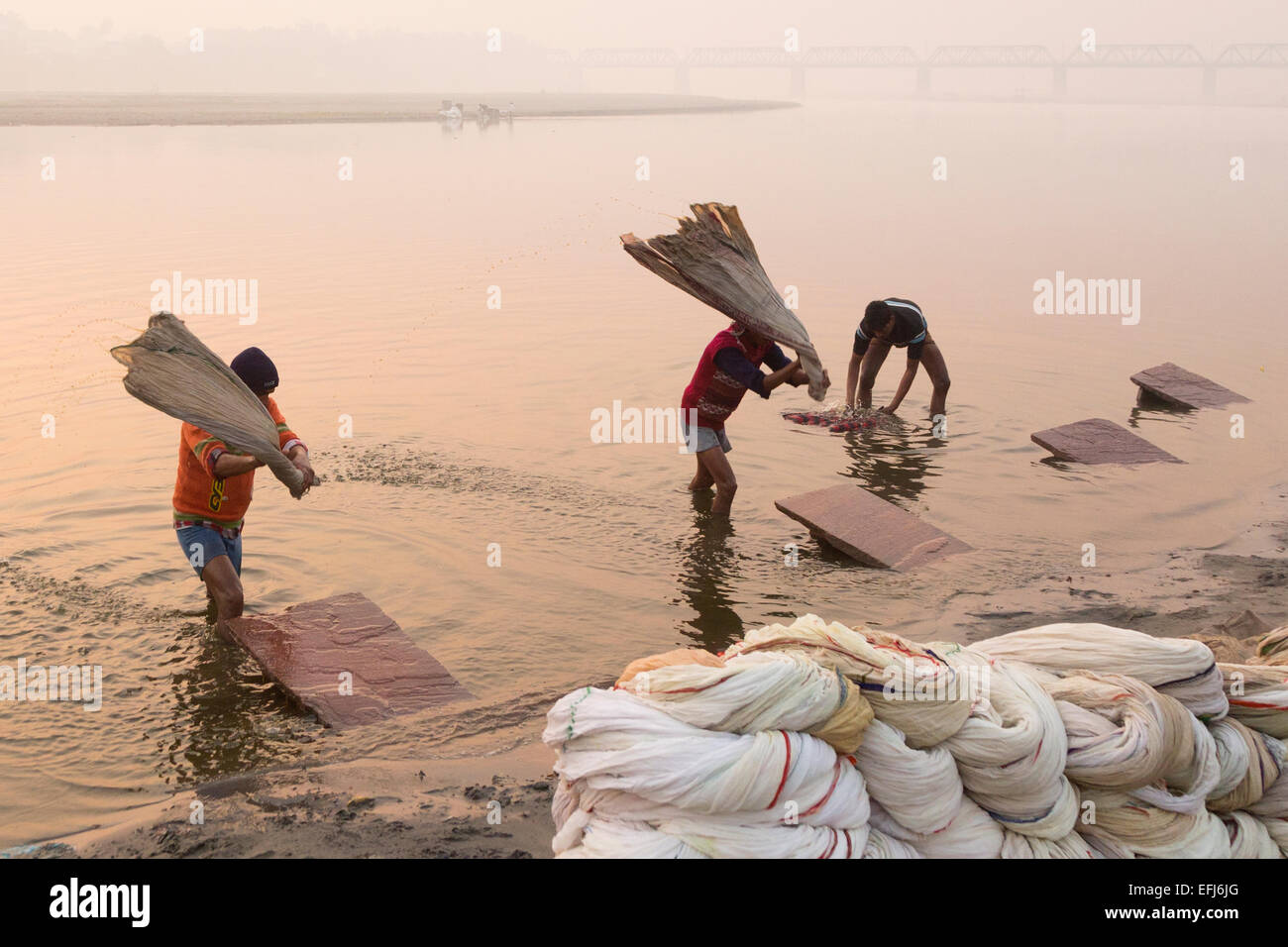 India, Uttar Pradesh, Agra, Dhobi-wallahs at sunrise on Yamuna River ...