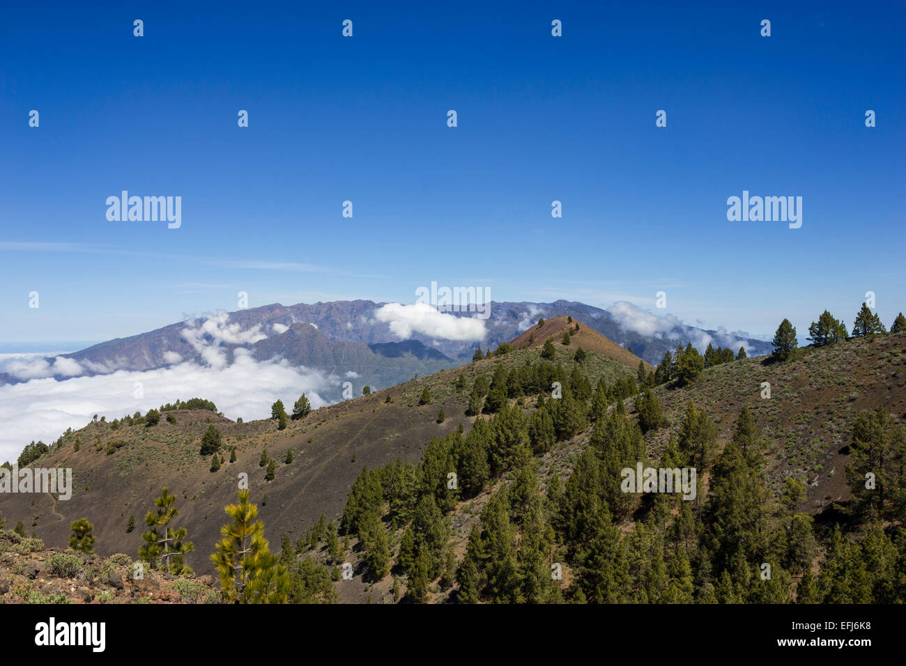 Volcanic landscape with the Caldera de Taburiente at the back, "Ruta de ...