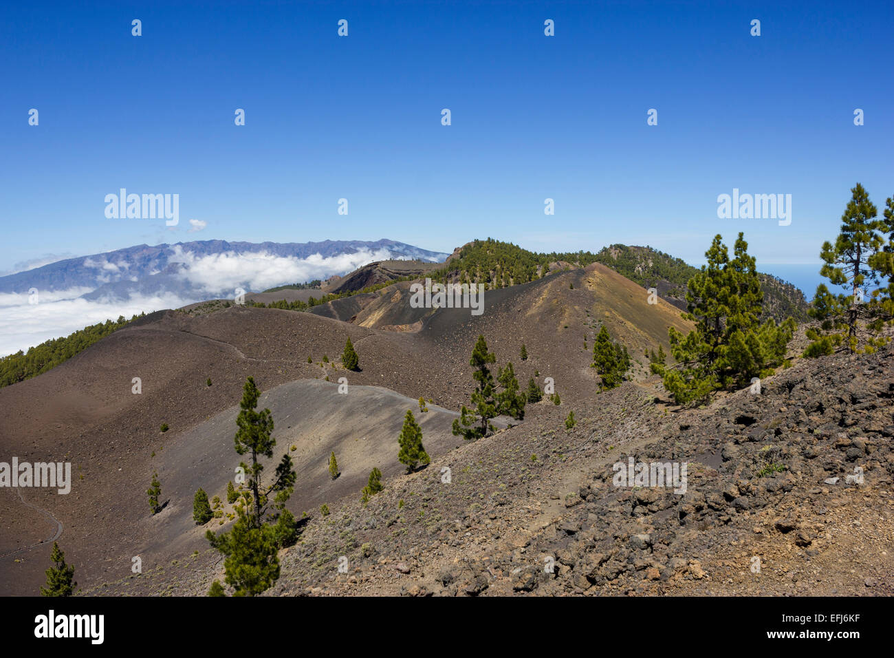 Views of volcanoes, volcanic landscape, Caldera de Taburiente at the ...