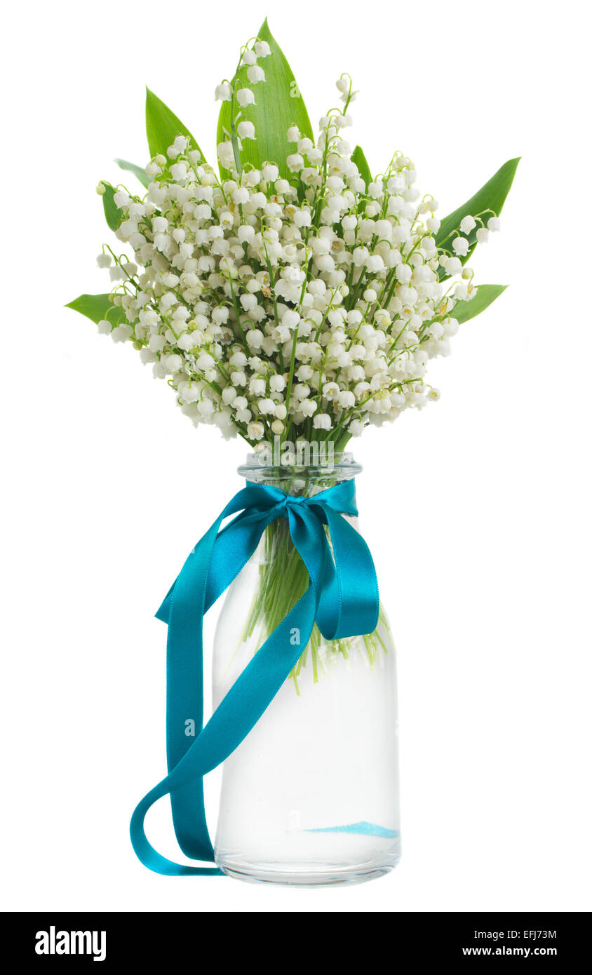 Valley forest Cut Out Stock Images & Pictures - Alamy