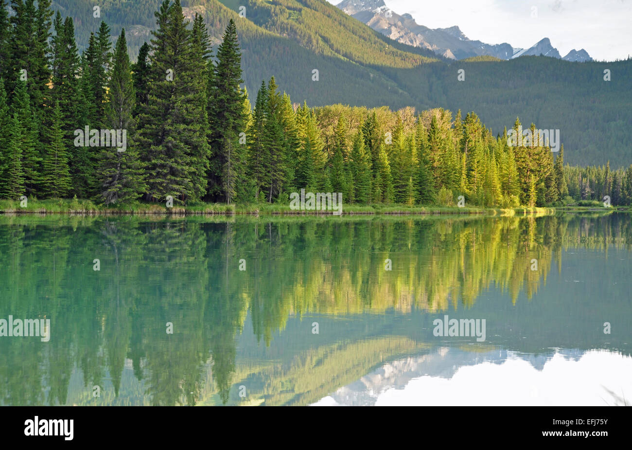 Banff, Bow River,Alberta,Canada reflections in morning light Stock ...