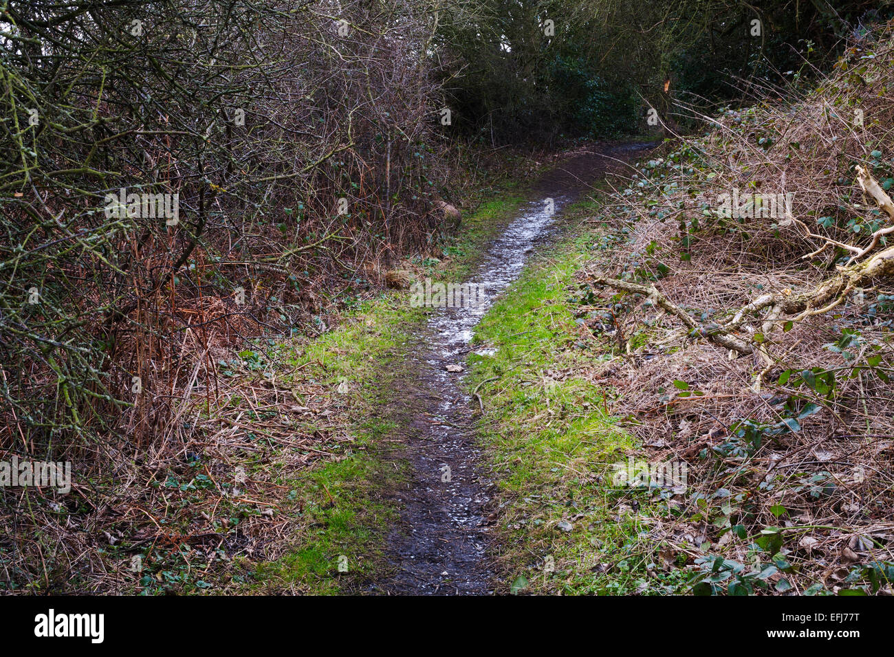 England public paths walks hi-res stock photography and images - Alamy