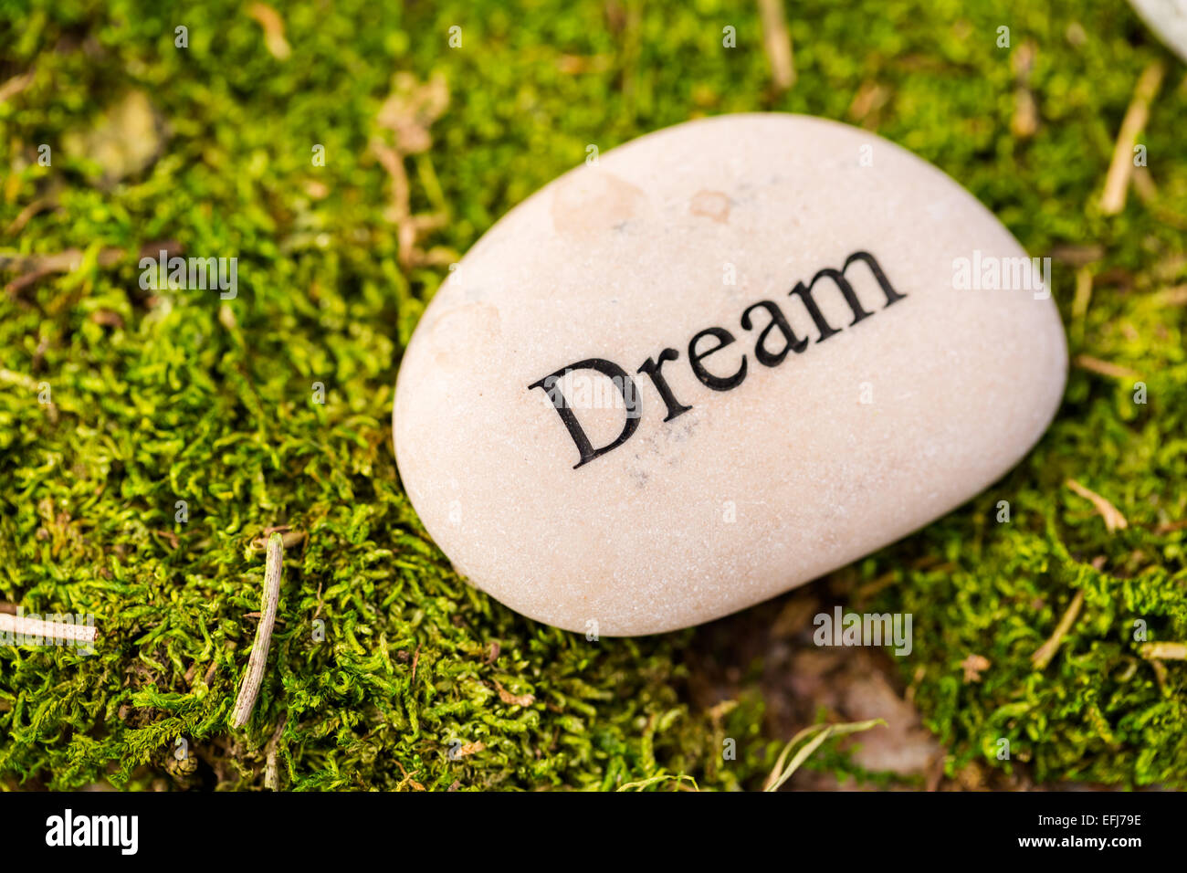 Small garden stones engraved with signs Stock Photo - Alamy