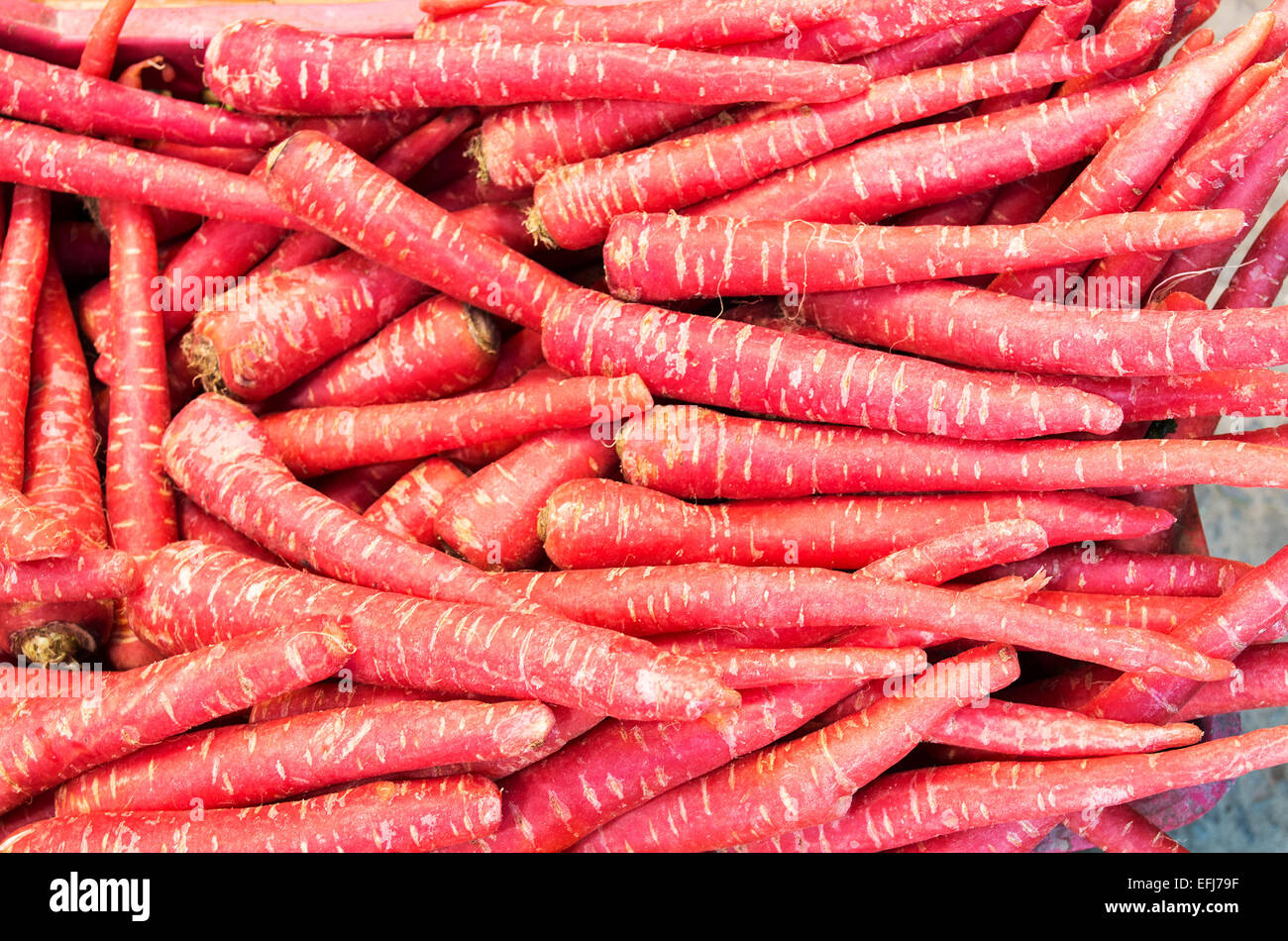 Red Carrot Images