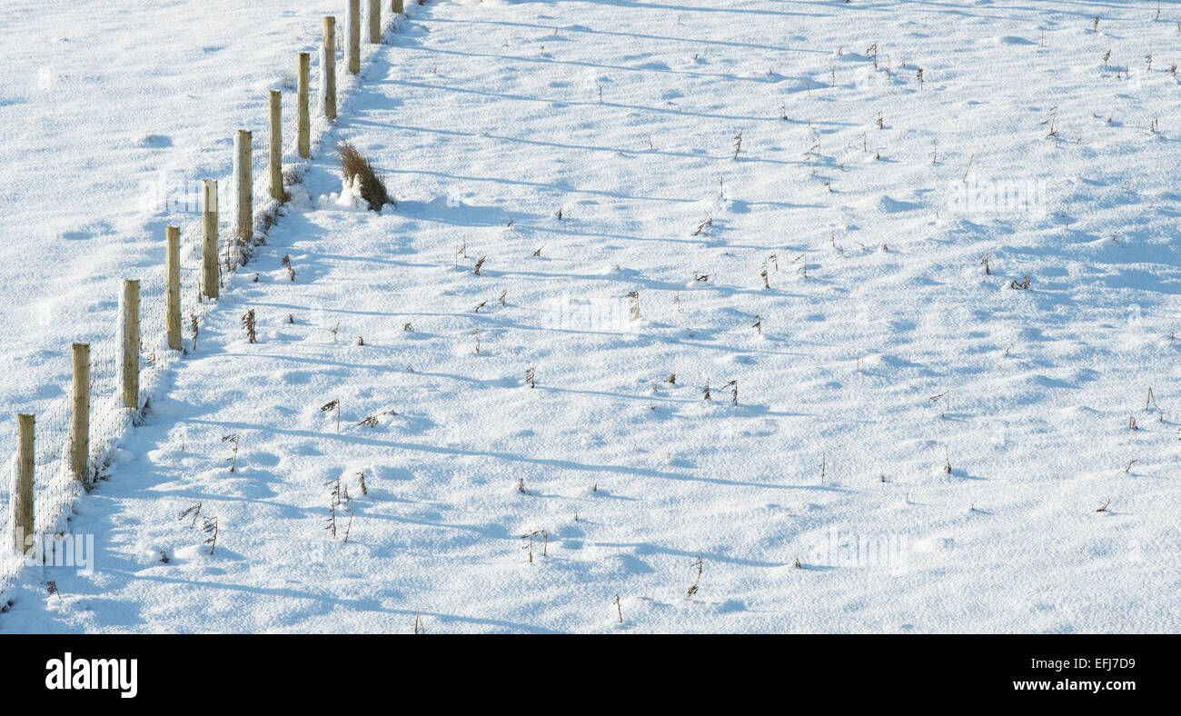 Grass shadow patterns hi-res stock photography and images - Alamy