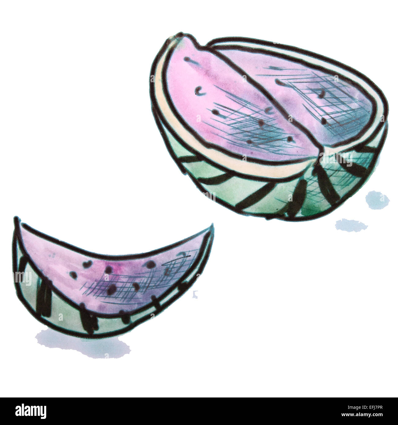 watercolor watermelon, purple piece of cartoon drawing isolated white ...
