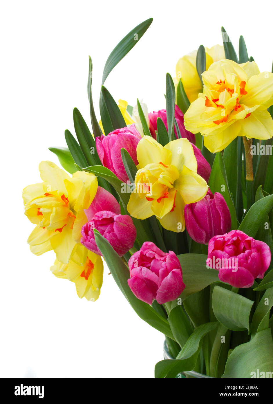 bunch of tulips and daffodils in vase Stock Photo - Alamy