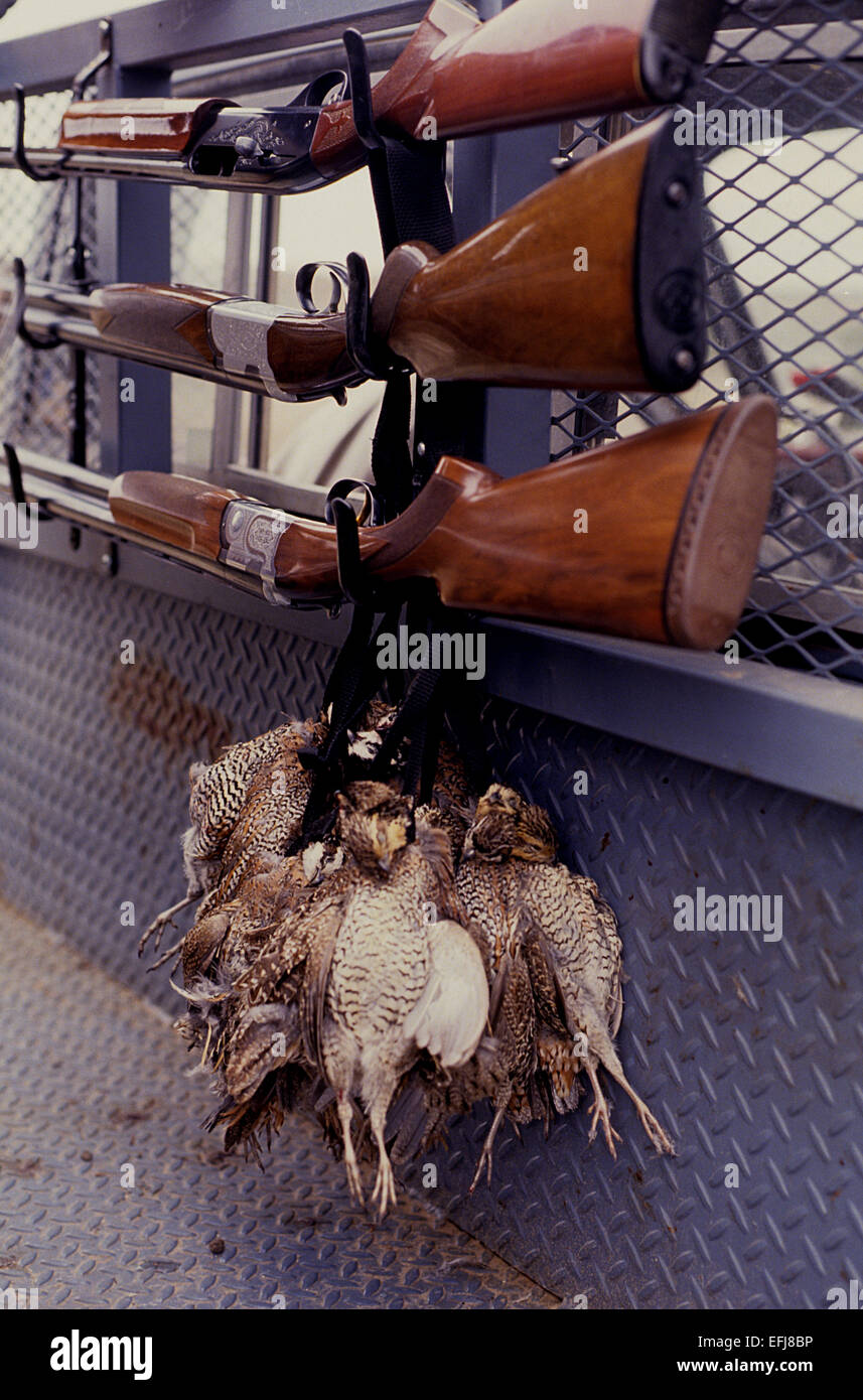 Vintage Gun Racks For Trucks