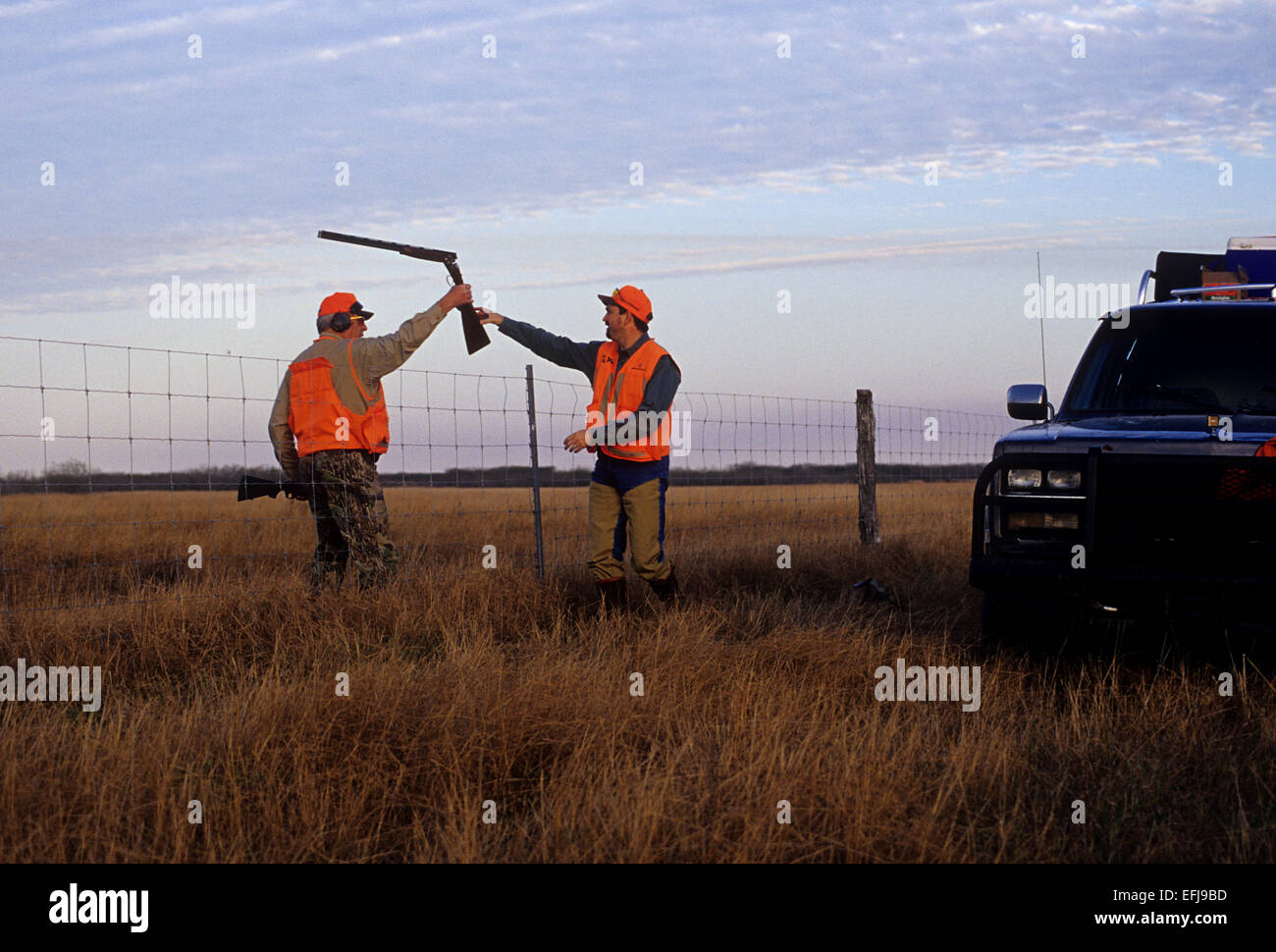 Hunters demonstrating how to safely cross a fence with guns while quail ...