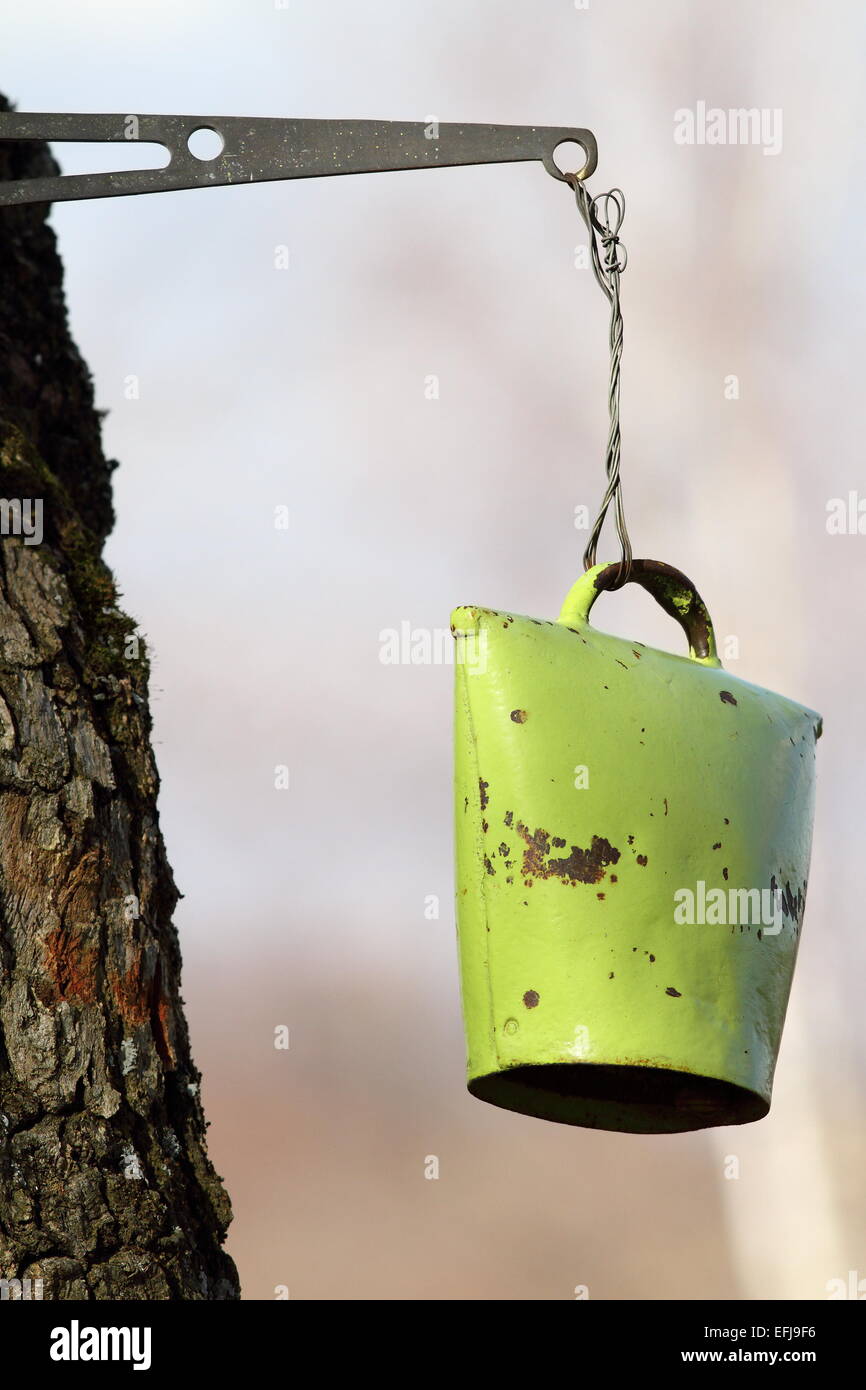 Bell tree instrument hi-res stock photography and images - Alamy