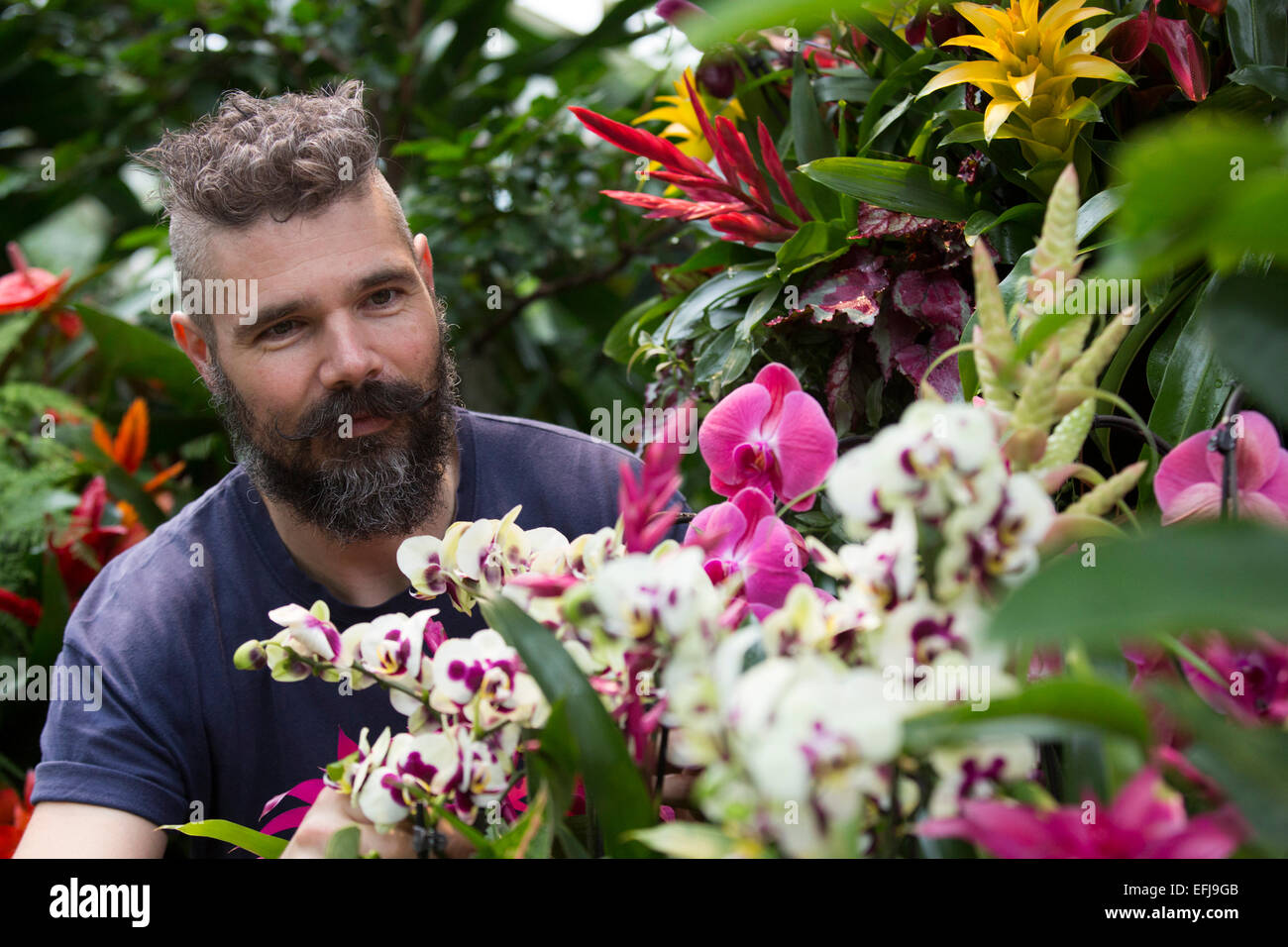 Henck roling hi-res stock photography and images - Alamy