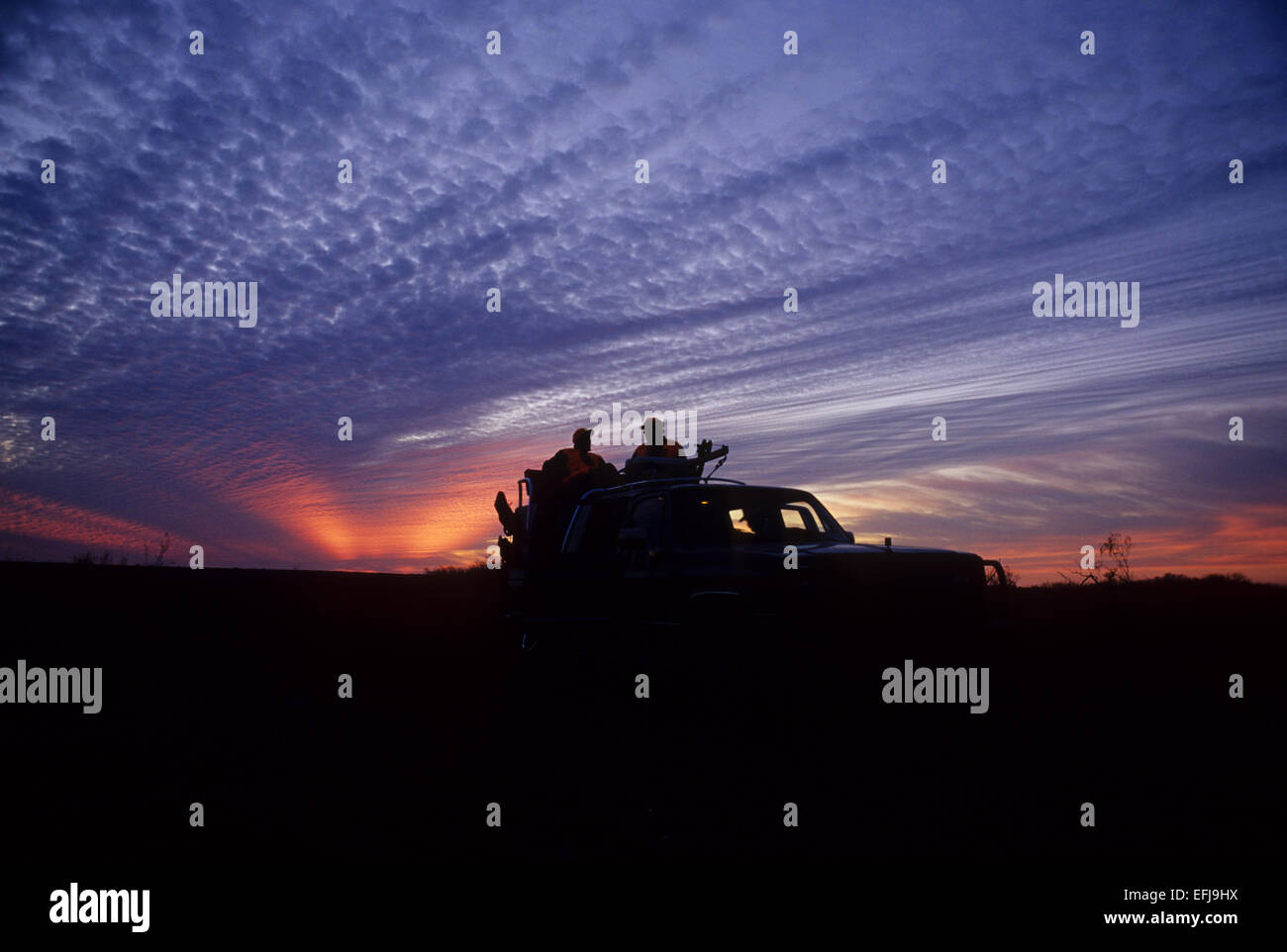 Hunters at sunset atop their truck while quail hunting on the King ...