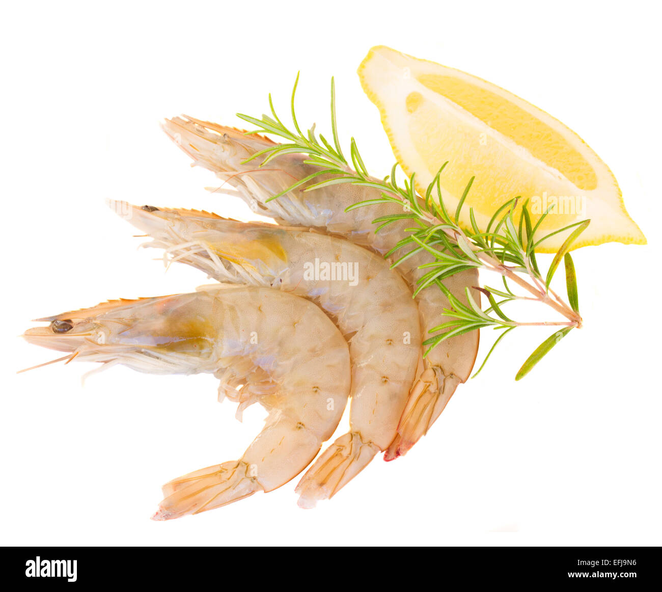 Three prawns hi-res stock photography and images - Alamy