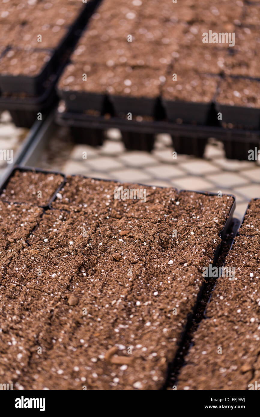 Small planting pots with topsoil ready for planting season Stock Photo ...