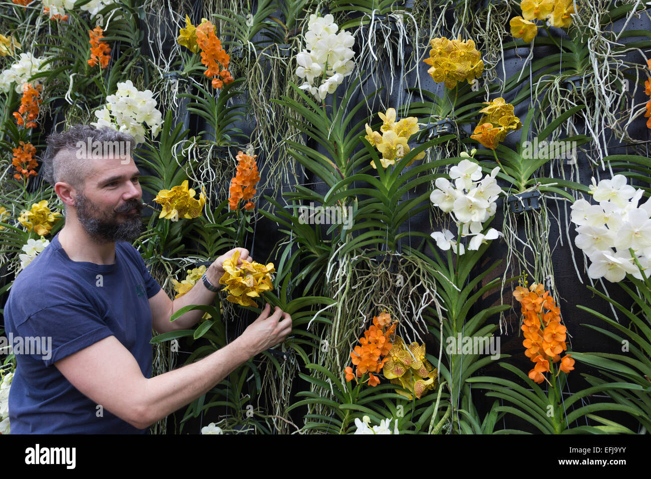 London, UK. 5 February 2015. Kew Gardens horticulturist Henck Roling ...