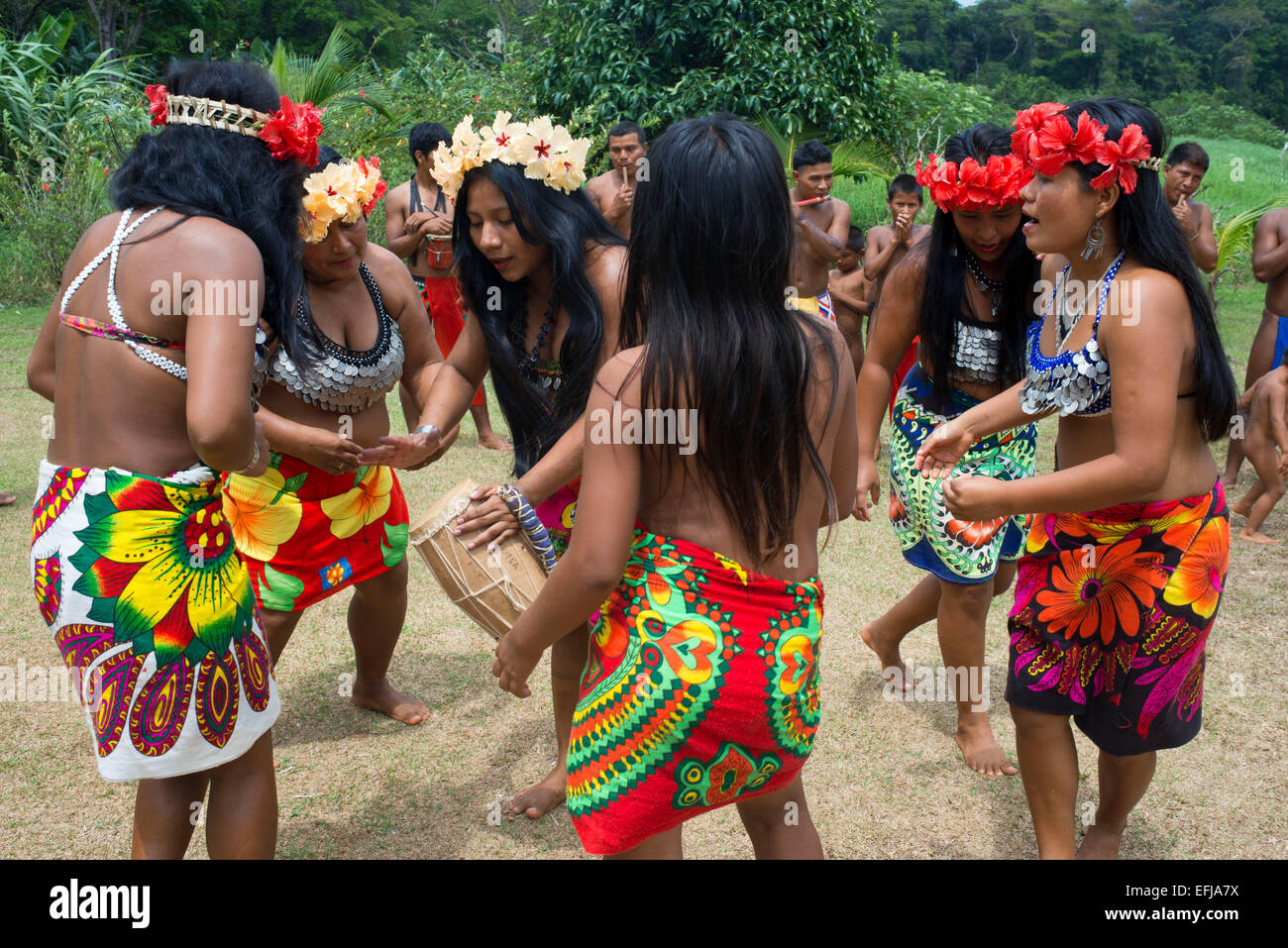 Music and dancing in the village of the Native Indian Embera Tribe, Embera Village, Panama ...