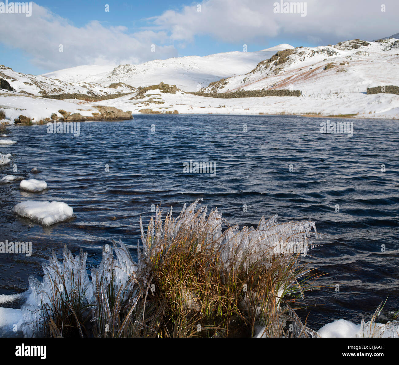 Frozen grass on the edge of Alcock Tarn, English Lake District Stock ...