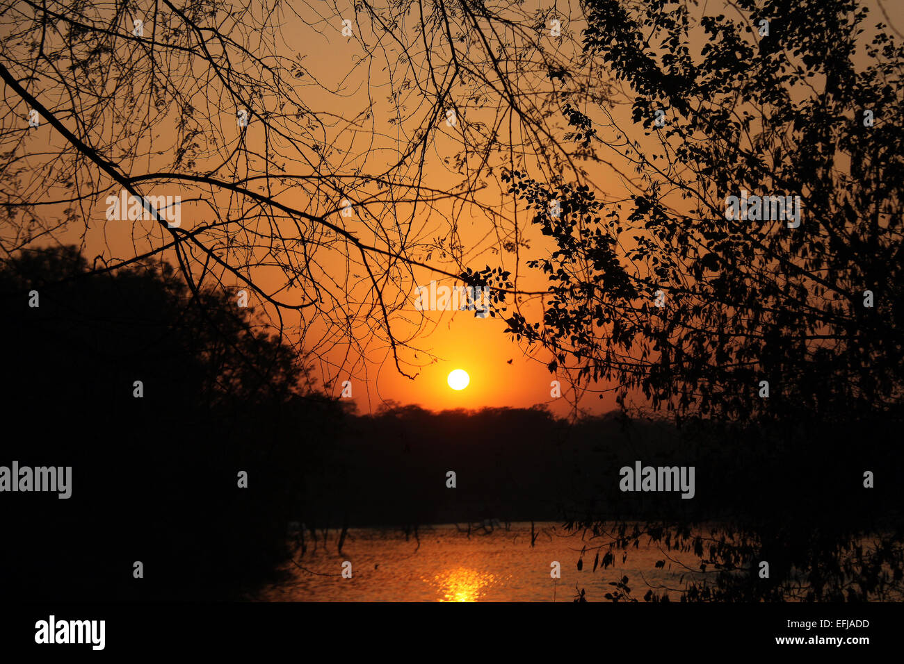 sunset over lake Stock Photo - Alamy