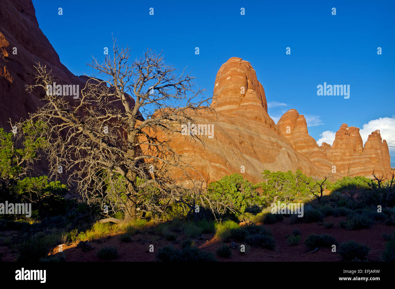 Sandstone spires hi-res stock photography and images - Alamy